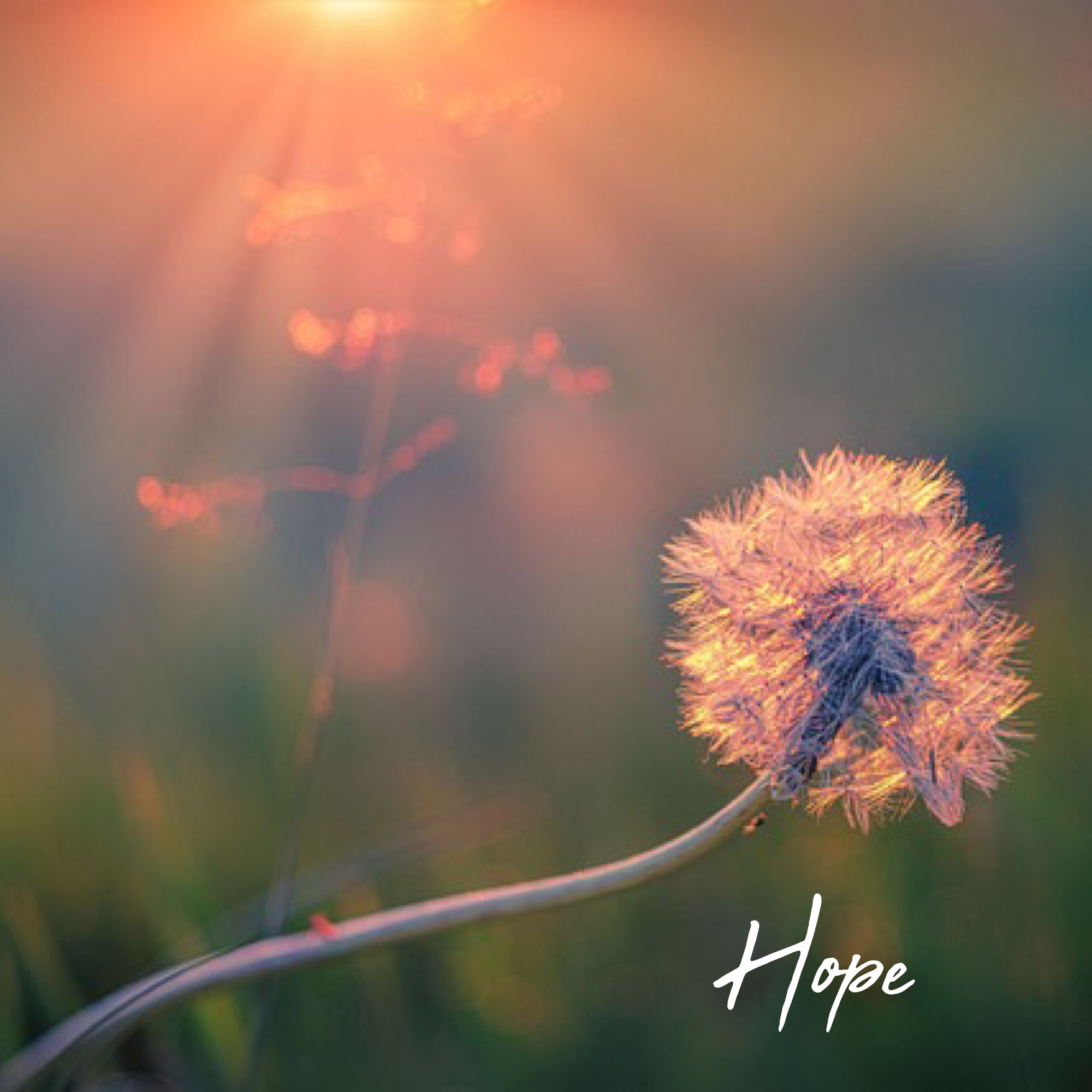 Hope – dreamer | artist | painter | poet